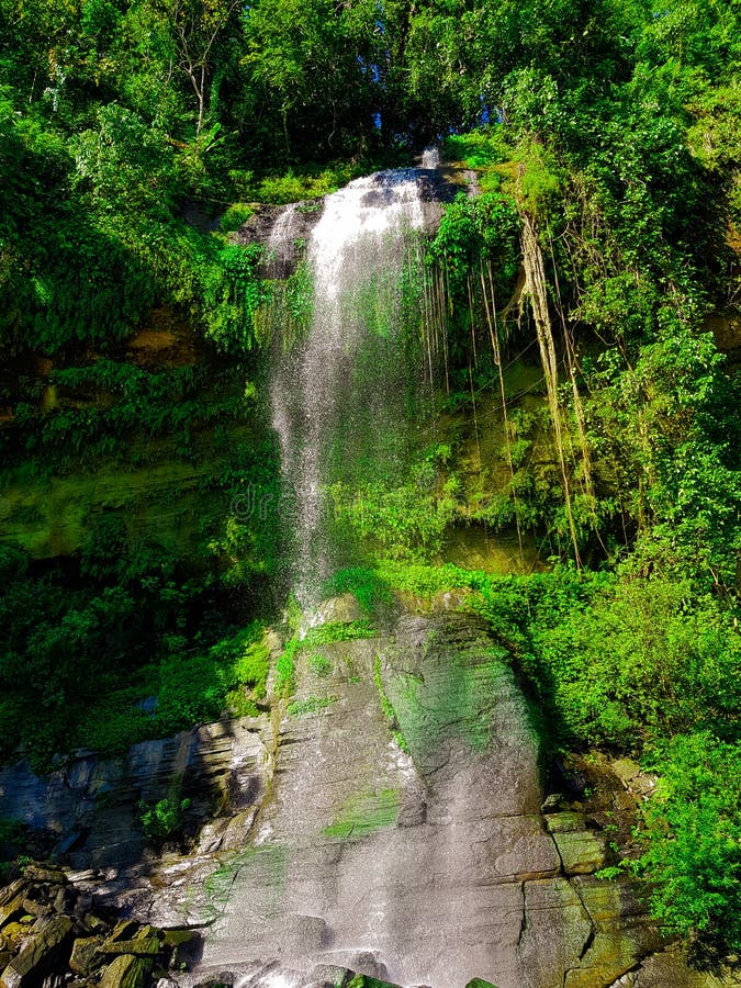 Waterfall Coming Down from a Hill Forest in the Remote Places of ...