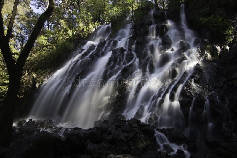 Waterfall Coming through the Forest Surrounded by Trees Stock Photo ...