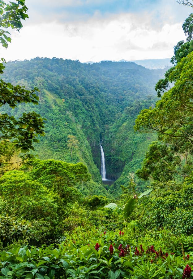 Waterfall in the Costa Rican Stock Image - Image of water, rican: 269135893