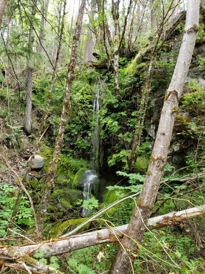 Waterfall Cougar Reservoir Oregon Stock Photo - Image of outdoors ...