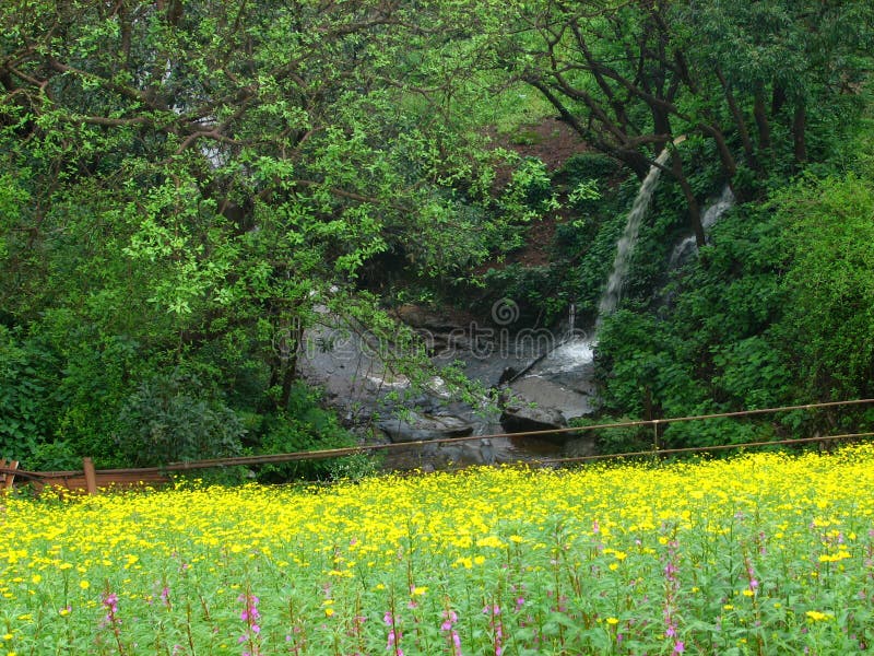 Waterfall in countryside stock image. Image of blur, greenery - 20711433