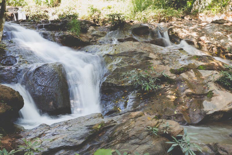 Waterfall and Creek in Park Stock Photo - Image of creek, forest: 82127884