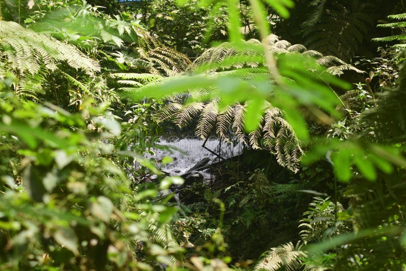 Waterfall Curup Stock Photos - Free & Royalty-Free Stock Photos from ...