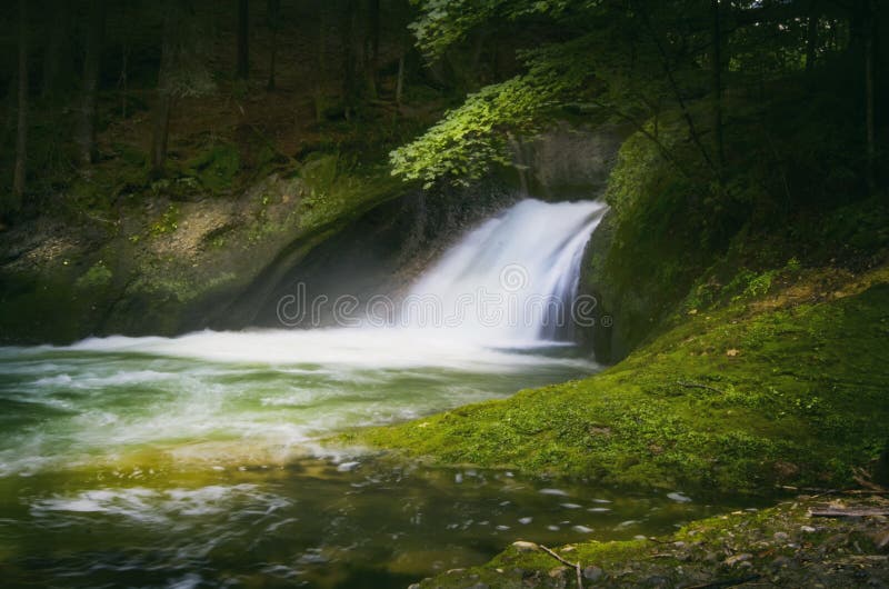 Waterfall in Dark Forest stock image. Image of tropical - 100226423