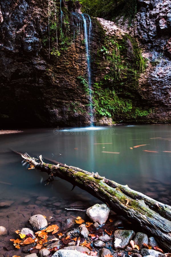Waterfall with Dead Log in the Foreground Stock Image - Image of ...