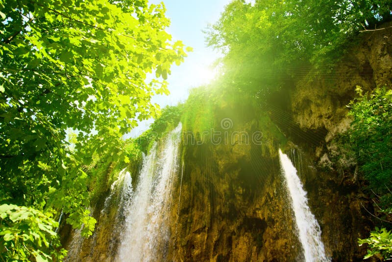 Waterfall in deep forest stock image. Image of reflection - 7545117
