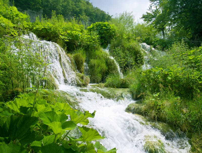 Waterfall in deep forest stock image. Image of environment - 7723609