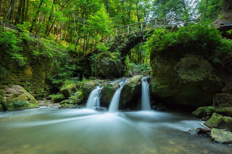 Waterfall in a deep forest stock photo. Image of park - 238570980