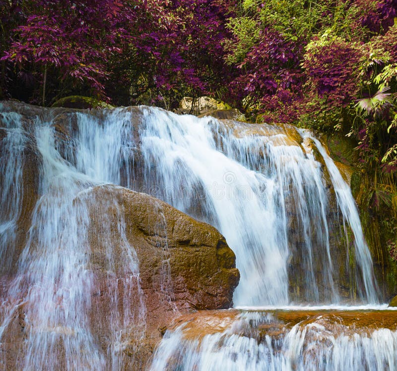 Waterfall in deep forest stock image. Image of scenery - 134339989