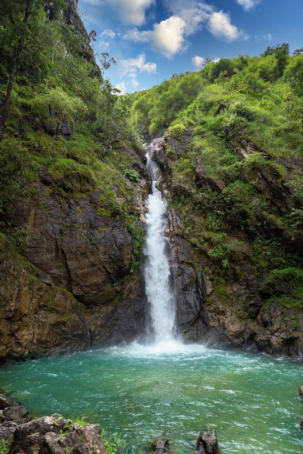 Waterfall in the forest stock image. Image of park, pool - 258718703