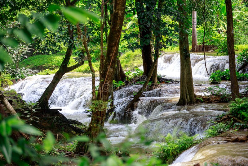 Waterfall stock image. Image of fall, beauty, foliage - 258893507