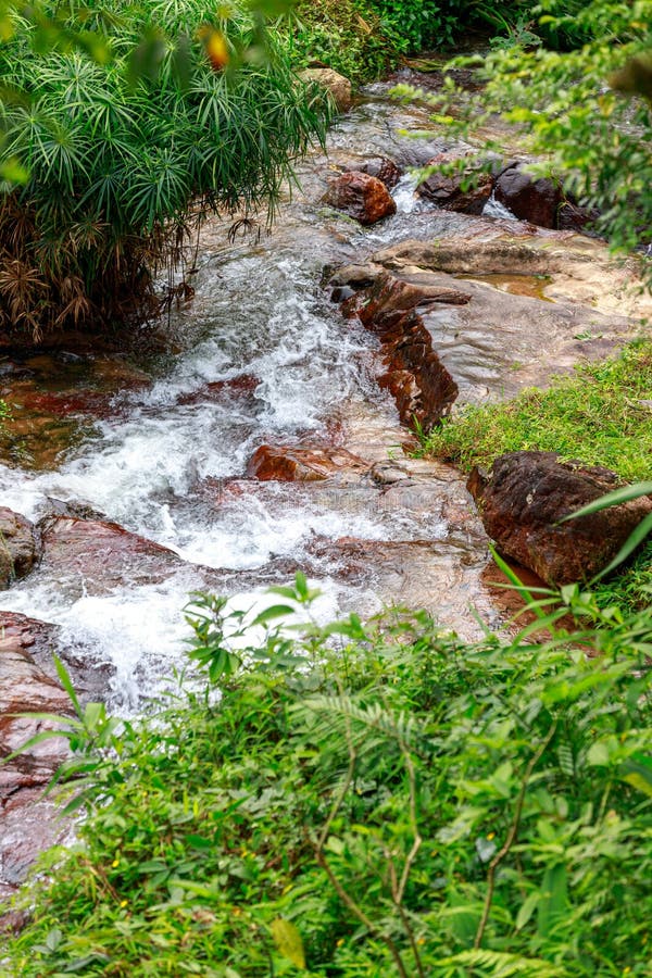 Waterfall stock photo. Image of mountain, fall, forest - 258893570