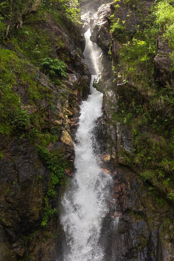 Waterfall stock image. Image of beauty, jungle, beautiful - 258893645