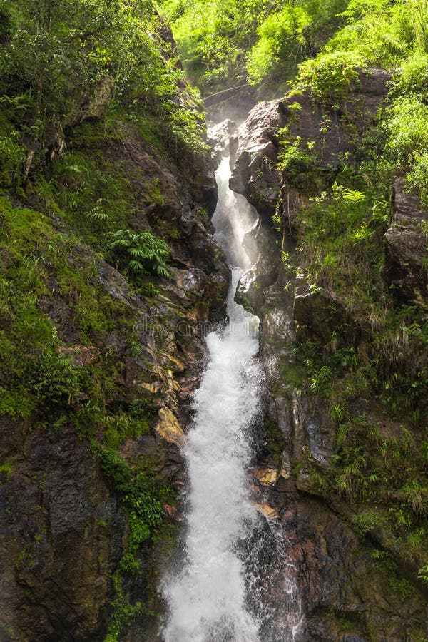 Waterfall stock photo. Image of environment, green, peaceful - 258893648