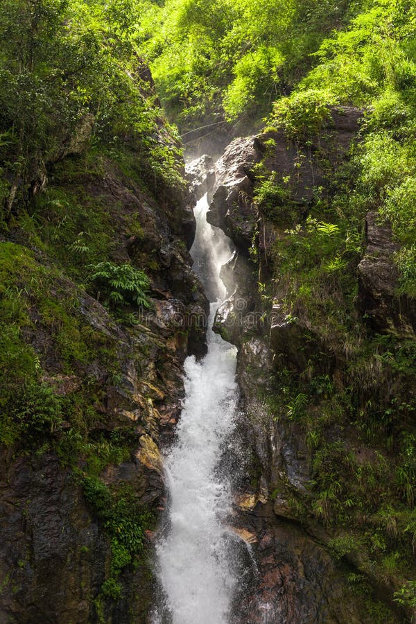 Waterfall stock image. Image of rainforest, flowing - 258893653