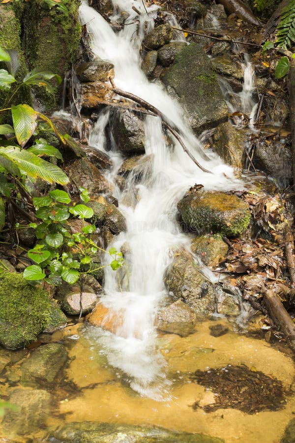 Waterfall down the rocks stock image. Image of natural - 123180173