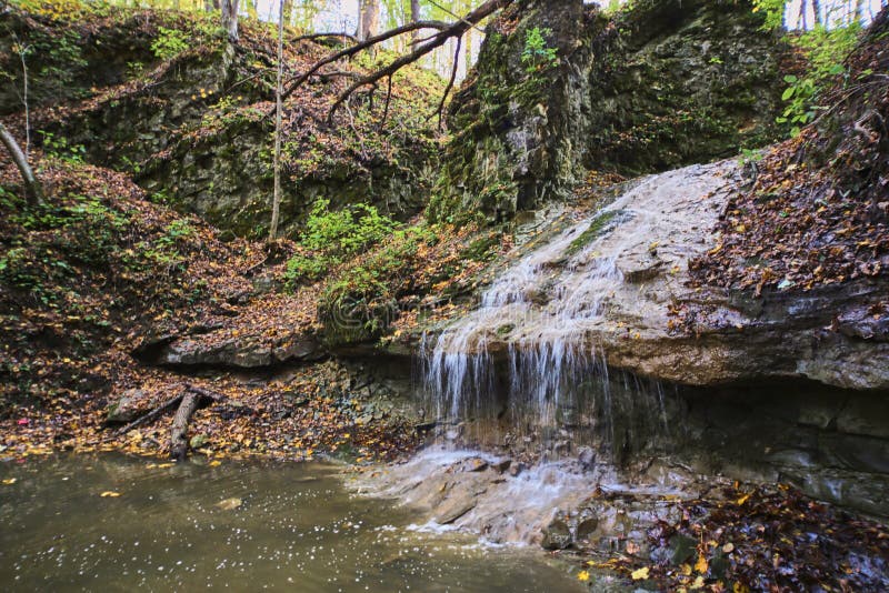 Waterfall Dripping Down Slope into Muddy Water with Fall Leaves and ...