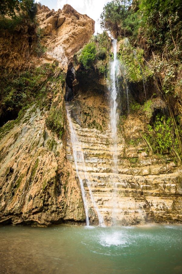 Waterfall in En Gedi Nature Reserve and National Park Stock Image ... Waterfall in En Gedi Nature Reserve and National Park Stock Image ...