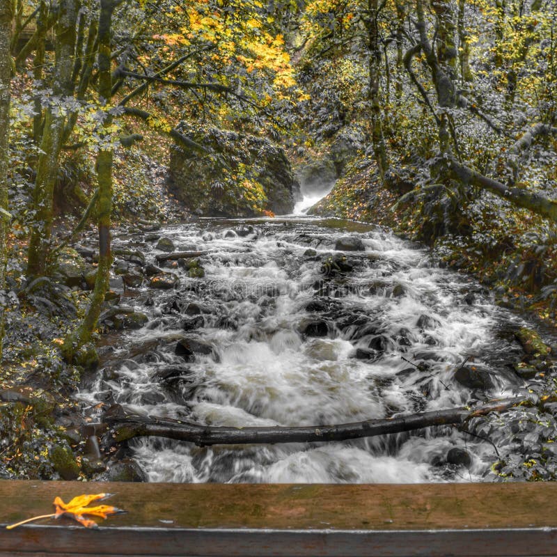 Waterfall stock image. Image of fall, leafs, waterfall - 90467821