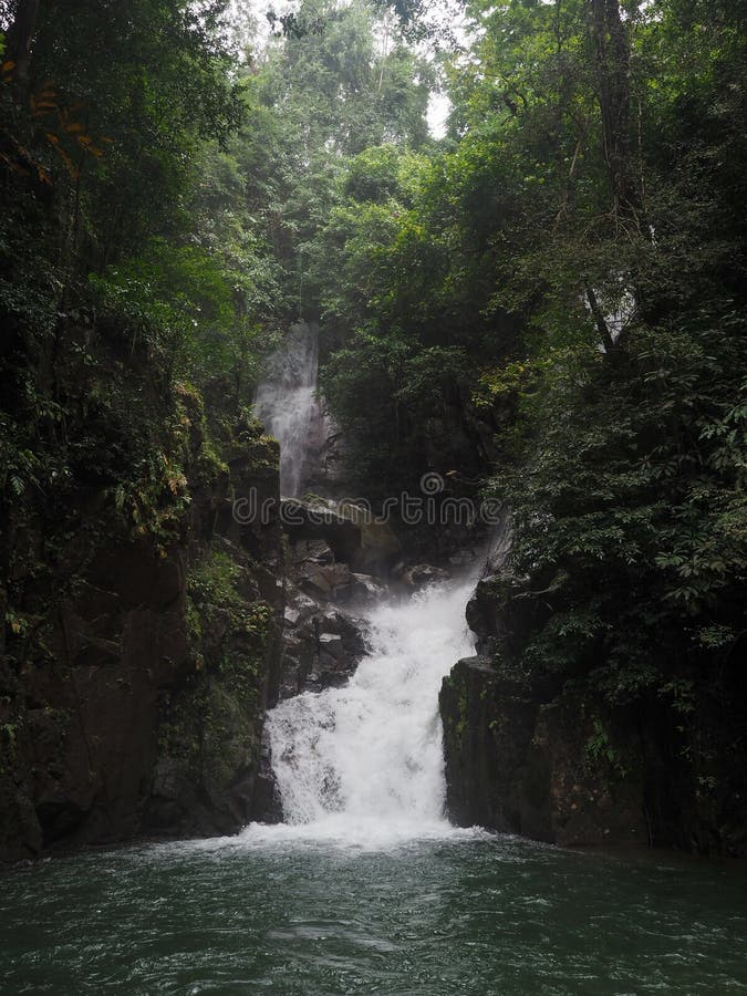 Waterfall Falling into Blue Pool and Flowing in Green Forest. Stock ...