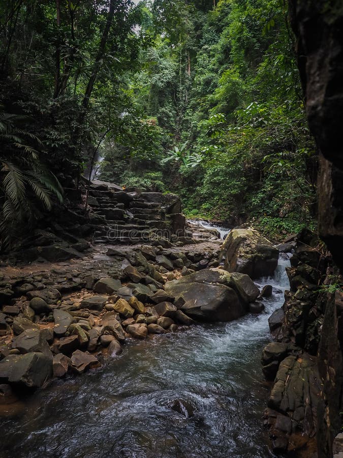 Waterfall Falling into Blue Pool and Flowing in Green Forest. Stock ...