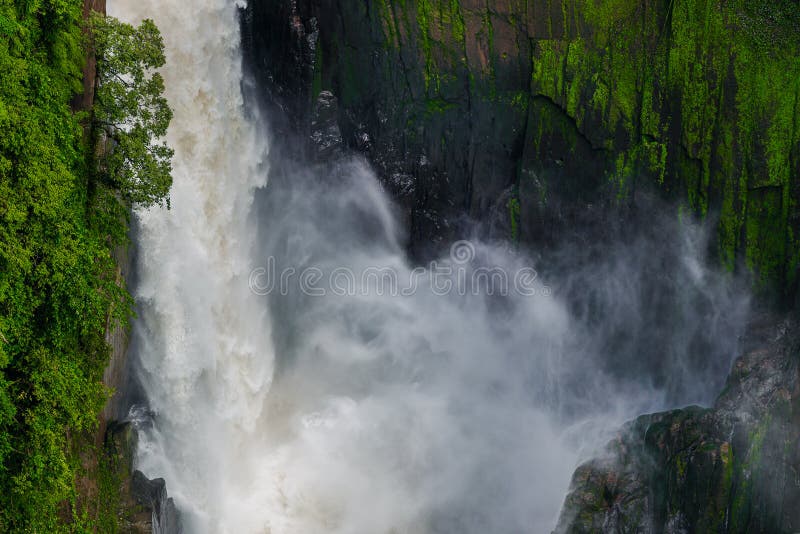 A Waterfall Falling from a High Mountain Stock Photo - Image of park ...