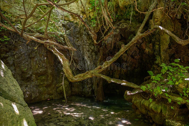 Waterfall Falling into a Lake. Bath of Aphrodite. Cyprus. Stock Photo ...
