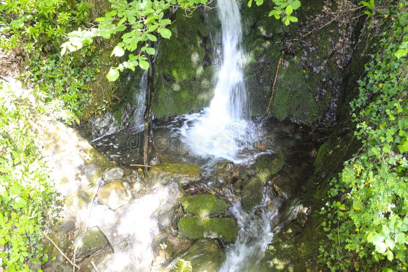 Waterfall Falling Over a Stream between Trees Stock Image - Image of ...