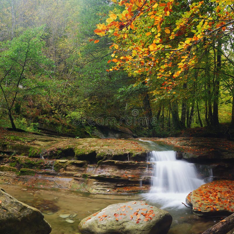 Waterfall with few water stock photo. Image of leaf, december - 18613152