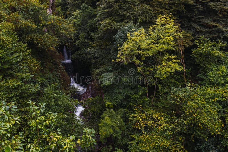 Waterfall-filled Cliffs Above a Lush Forest of Green Trees Stock Photo ...