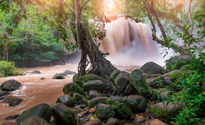 Waterfall from Flash Flood in the Rain Forest Stock Photo - Image of ...
