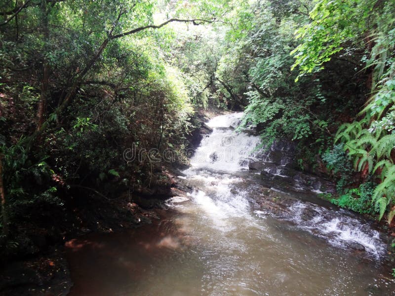 Waterfall flow stock photo. Image of stream, landscape - 155494616