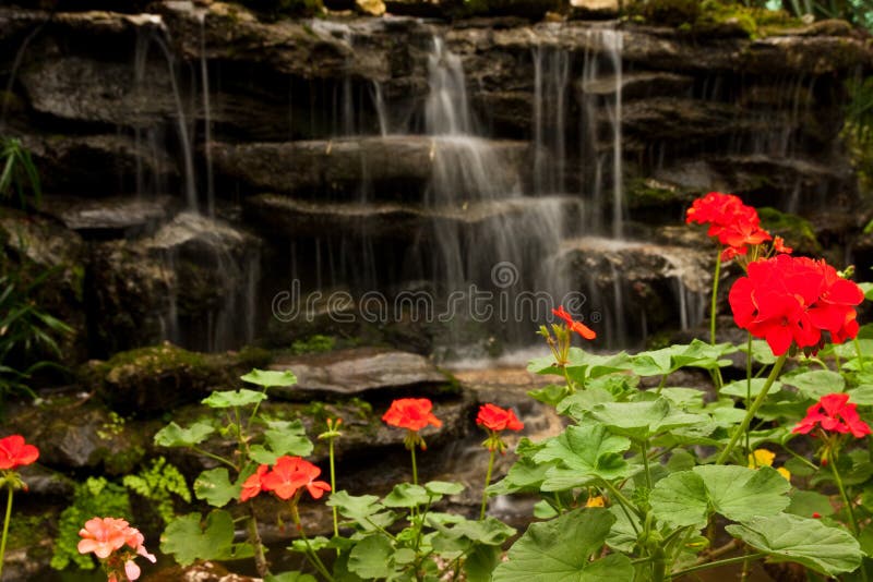 Waterfall and flower stock photo. Image of beautiful - 15678760