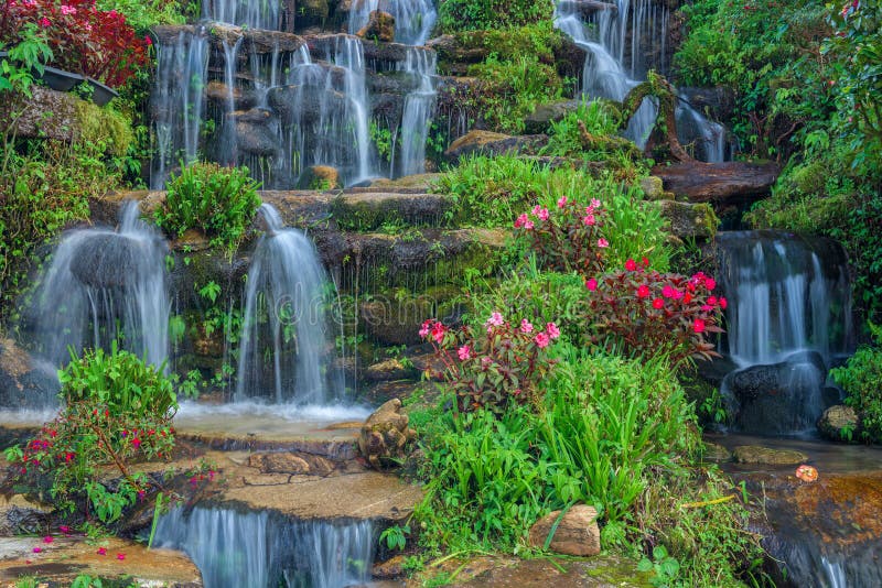 Waterfall Flowers Stock Photos - Download 11,408 Royalty Free Photos