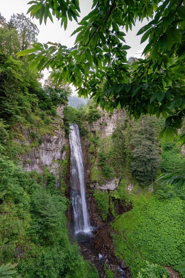 Waterfall Flowing through Dense Green Forest. Stock Photo - Image of ...