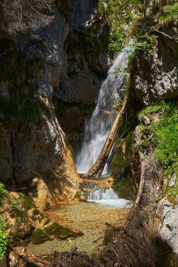 Waterfall Flowing into Forest Pool Stock Image - Image of trees, scenic ...