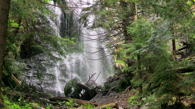 Waterfall Flowing from a Large Cliff Surrounded by Dense Forest and ...