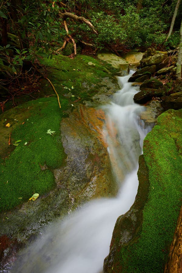 Waterfall Flowing through a Narrow Moss Covered Rock Channel Stock ...