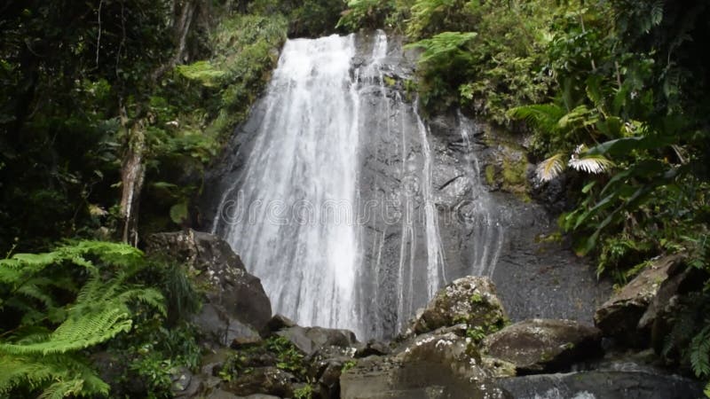 4K Waterfall in Puerto Rico. Kids Jumping in Water. Stock Footage ...