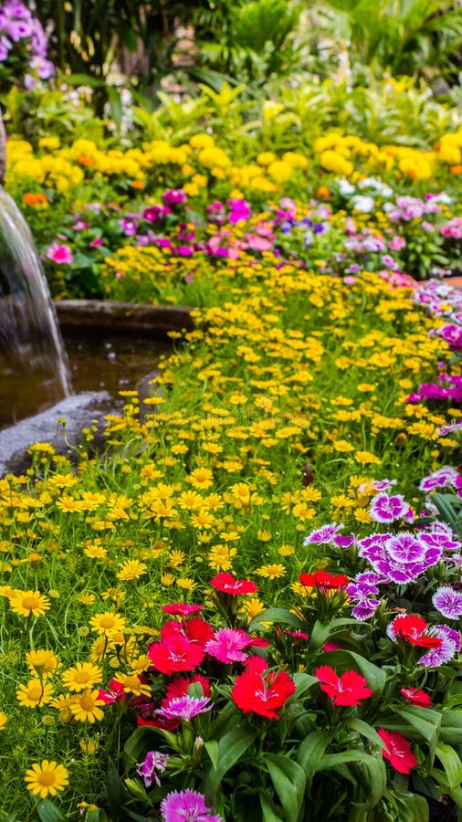 Waterfall Flows in Cozy Home Flower Garden Stock Photo - Image of damp ...