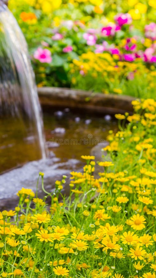 Waterfall Flows in Cozy Home Flower Garden Stock Photo - Image of lush ...