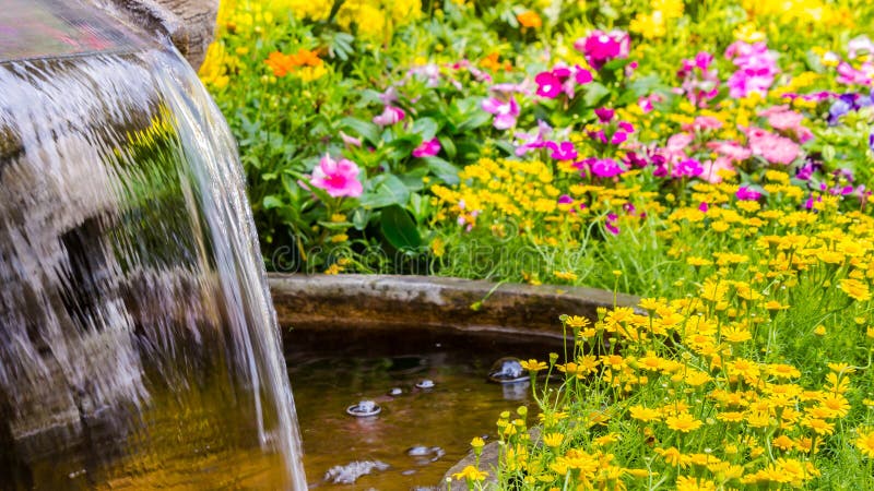 Waterfall Flows in Cozy Home Flower Garden Stock Image - Image of ...
