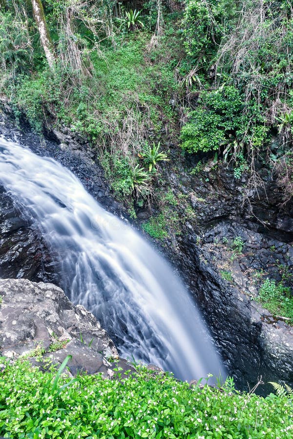Waterfall Flows Down on the Mountain through the Jungle Stock Image ...