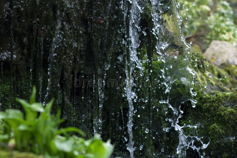 A Small Waterfall Flows Down from the Cliff in Green Forest. Blurred ...