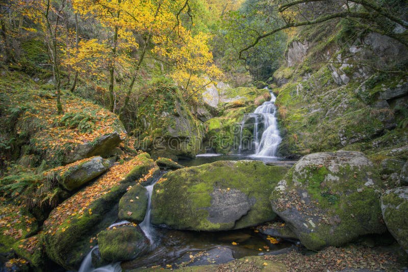 A Waterfall Flows into a Pond in a Stream that Crosses a Forest Stock ...