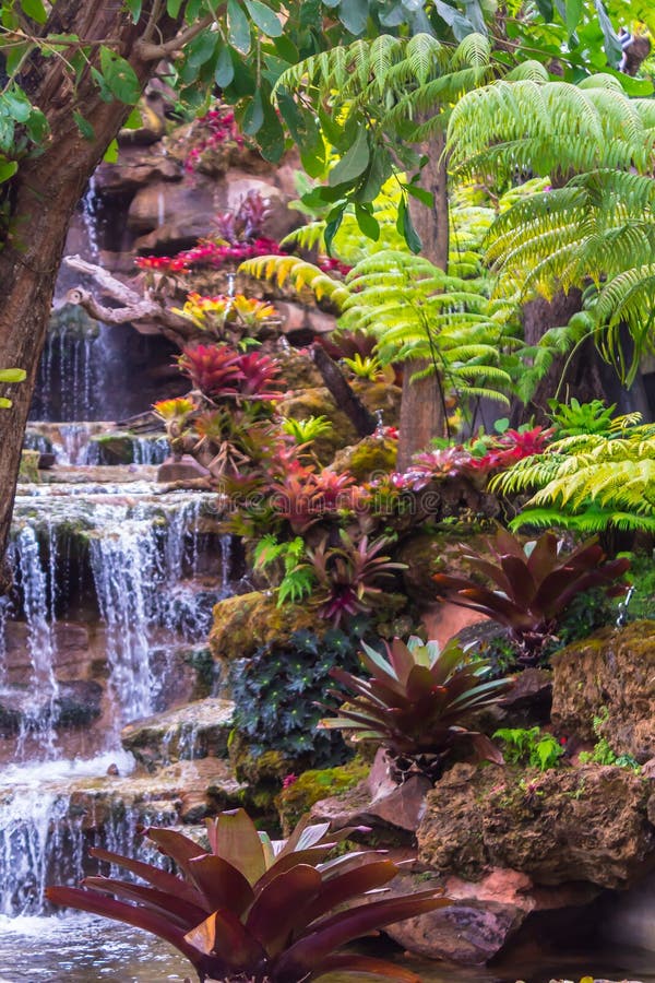 Waterfall Flows through Wet Garden Stock Image - Image of forest, house ...