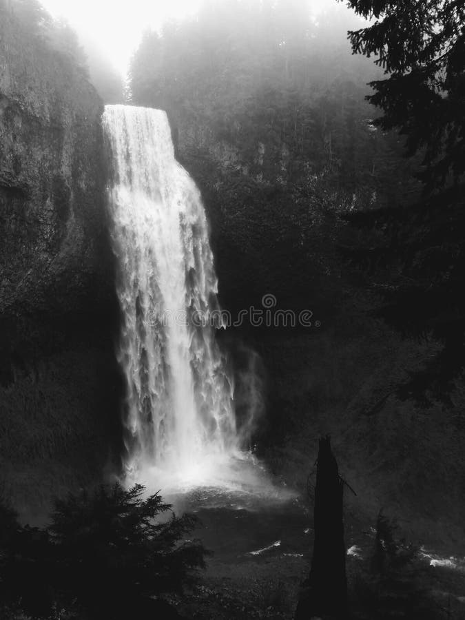 Waterfall through the fog stock photo. Image of rapid - 231244316