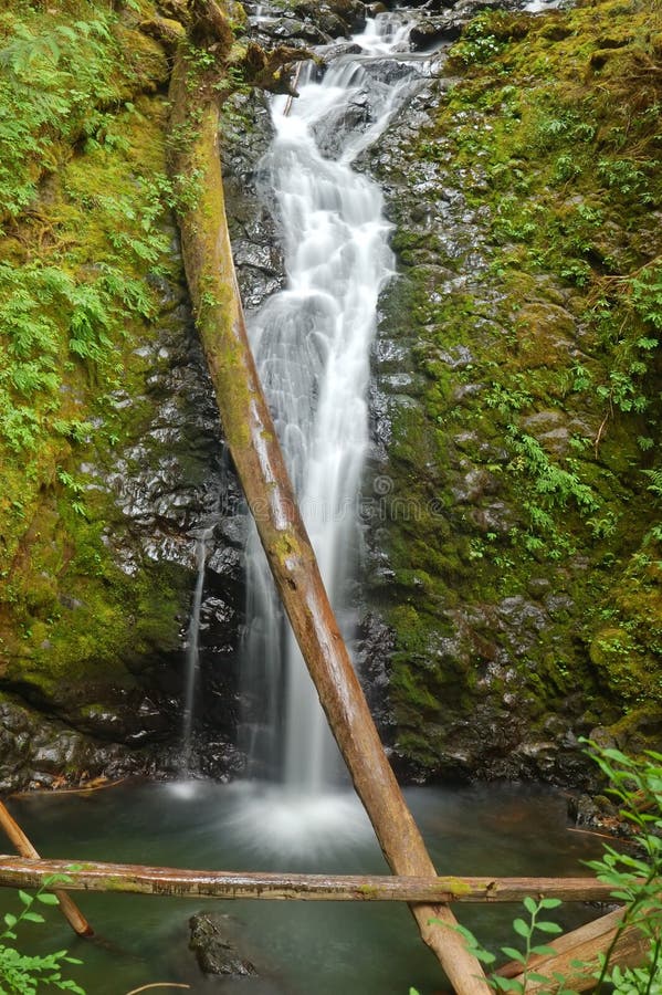Rainforest Waterfall stock image. Image of green, vanua - 12984201