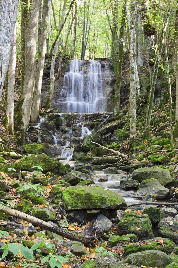 Waterfall in the forest stock image. Image of flow, flowing - 18308741