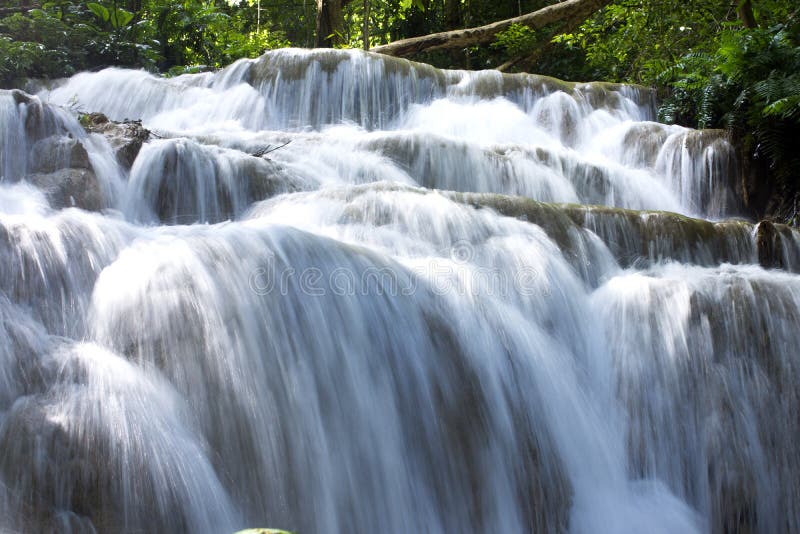 Waterfall in Forest, Abundance of Nature Stock Photo - Image of foliage ...